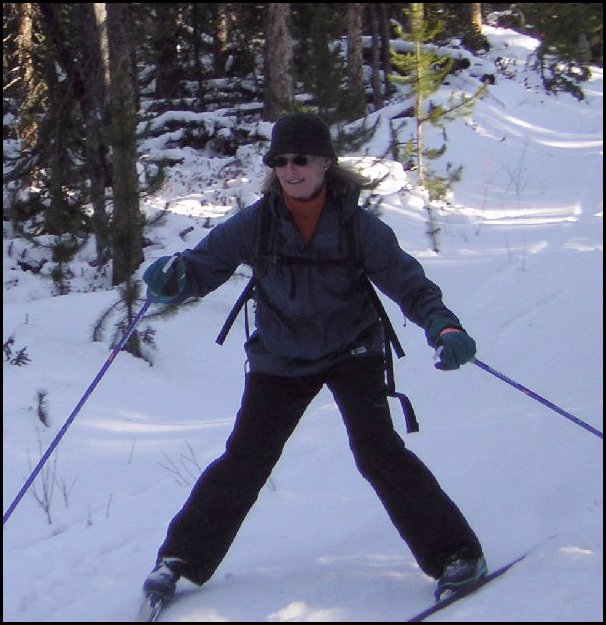 Headway Systems: Norseman Ski Trips